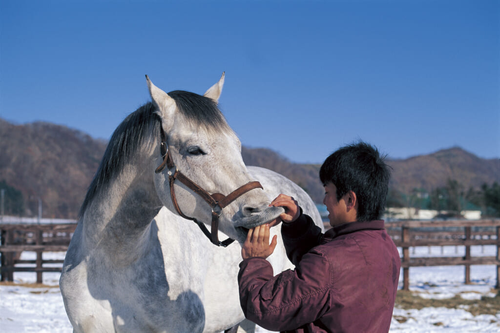 『ウマ娘』声優・高柳知葉さんも推薦！ オグリファンのバイブル予約受付中！ | （株）Gakken公式ブログ
